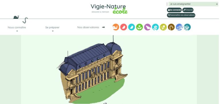 Vigie-Nature école – Fondamentaux de la Forêt