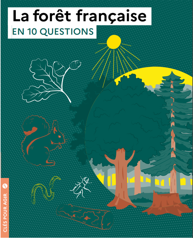La forêt française en 10 questions – Fondamentaux de la Forêt